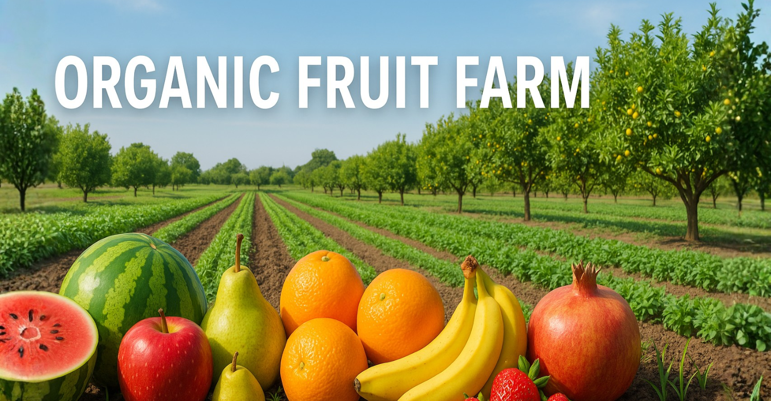Why Organic Fruit Farms Are Becoming the Future of Healthy Living ...