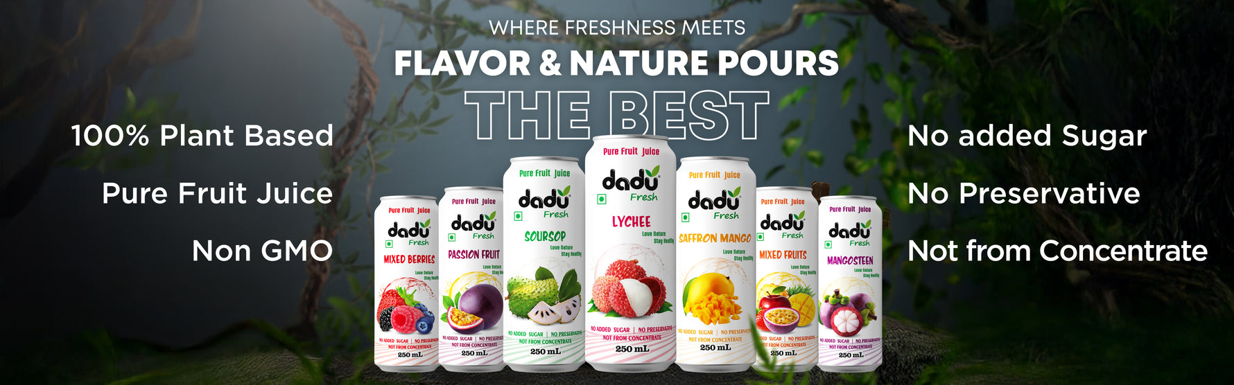 Dadu Fresh – 100% Natural Fruit Juices, No Added Sugar
