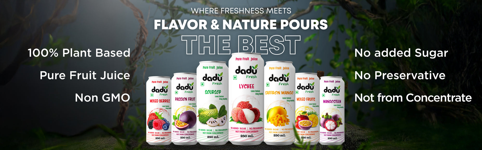 Dadu Fresh – 100% Natural Fruit Juices, No Added Sugar